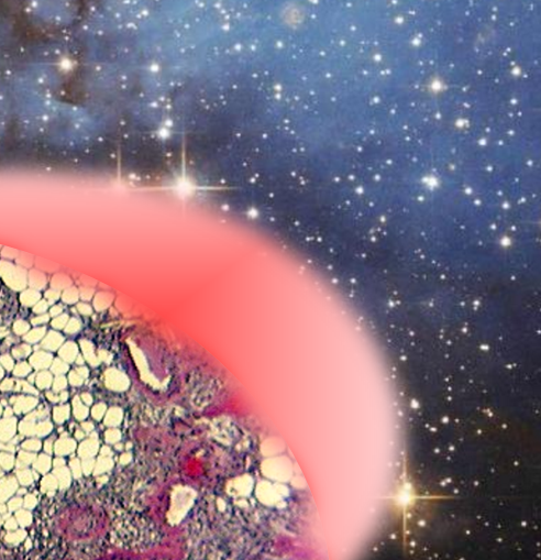 The Story of Measles | Free and Healthy Children International